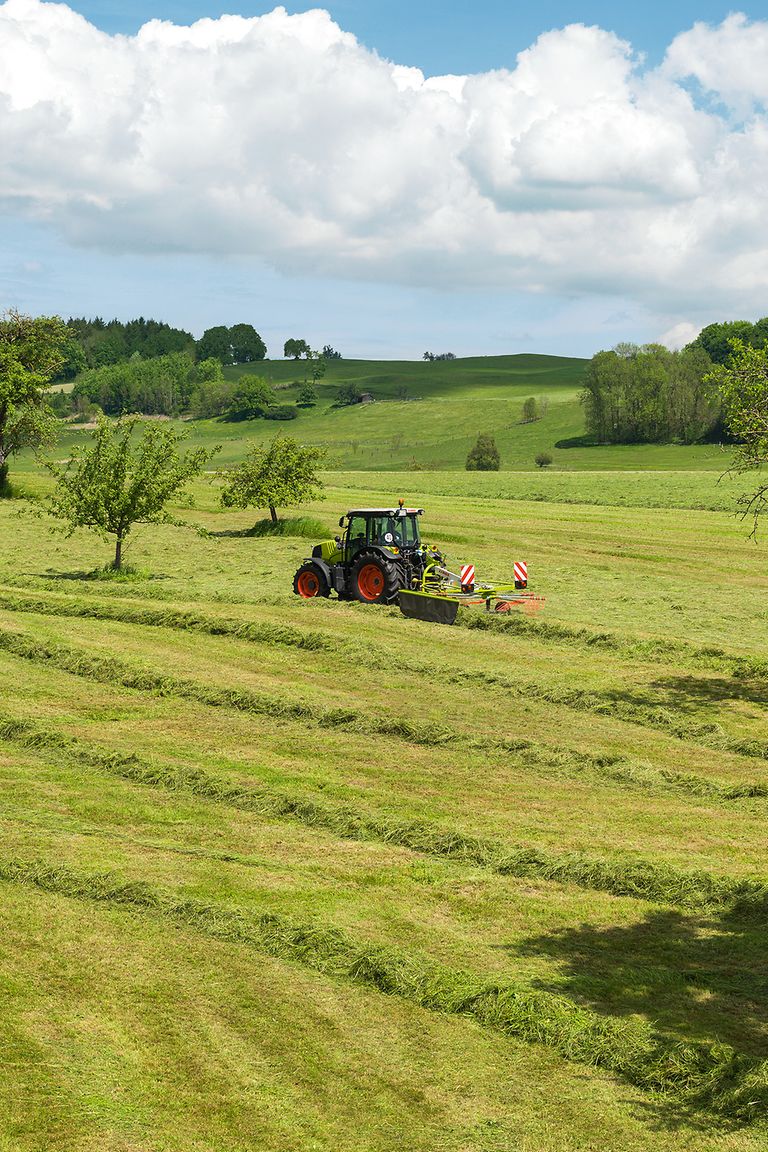 LINER single-rotor swathers | CLAAS