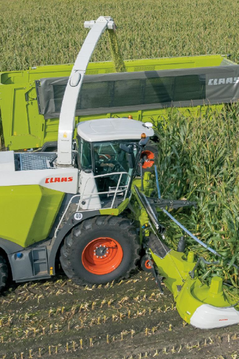 Higher Milk Production Starts With Forage Harvesting Technology | CLAAS