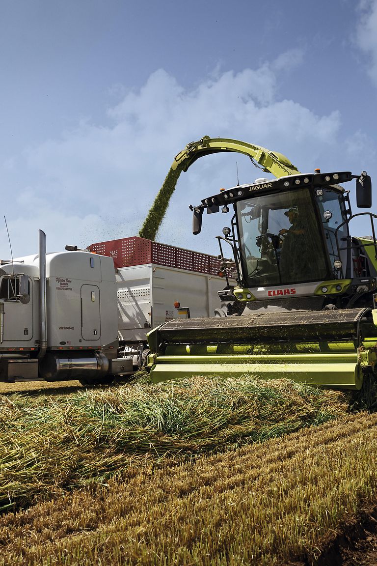 PICK UP 4500 / 3800 / 3000 | CLAAS