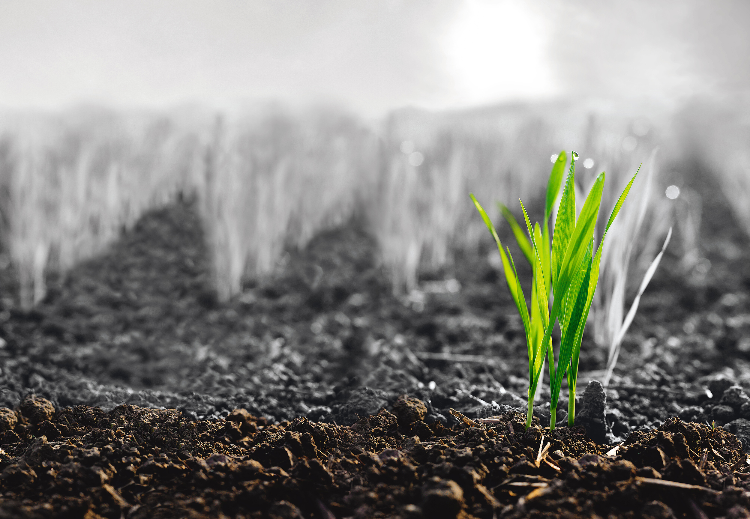 Technology partners | CLAAS